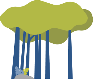 Massive Building Wrap at YVR Airport | Vancouver | Multigraphics